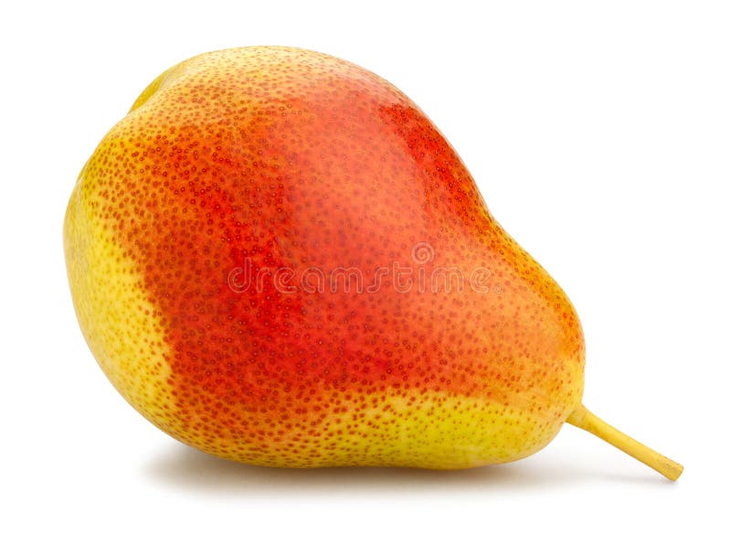 Duchess pear path isolated stock image. Image of single - 208061229