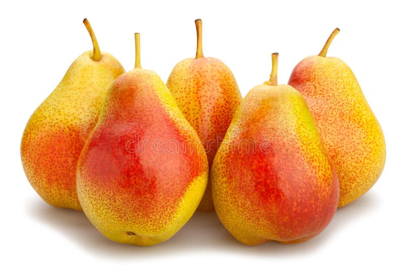 Duchess pear path isolated stock photo. Image of duchess - 208061252