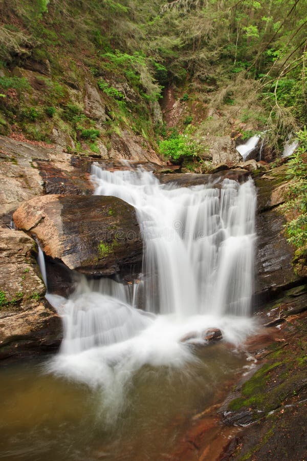 Duchi Creek Falls immagine stock. Immagine di alberi - 14505439