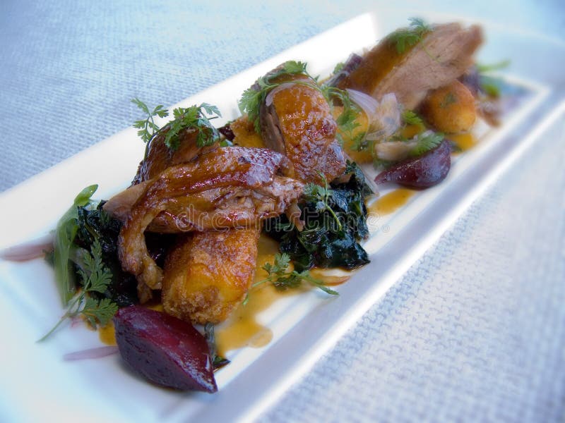 Duck stock image. Image of cuisine, duck, dish, french - 1116129