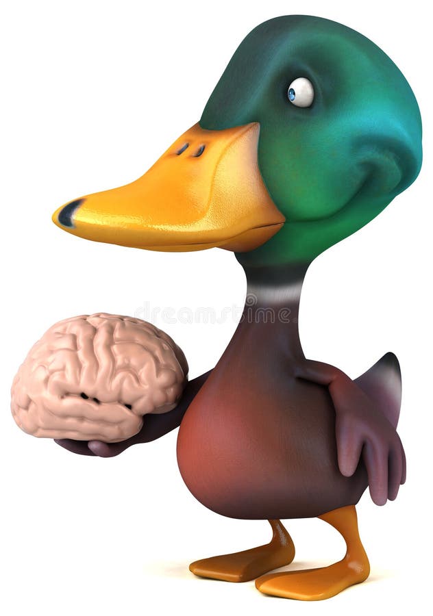 Duck stock illustration. Illustration of brain, waterfowl - 71892102