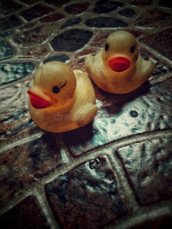 Duck Ball stock image. Image of duck, black, cute, ball - 118752789