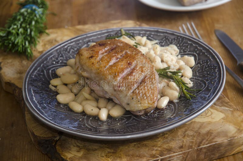 Duck breast fillets stock image. Image of fresh, herbs - 24391551