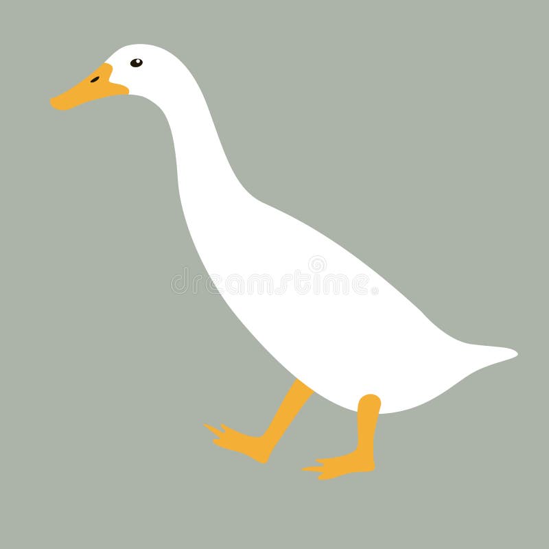 Duck Bird , Vector Illustration, Black Silhouette, Side View Stock ...