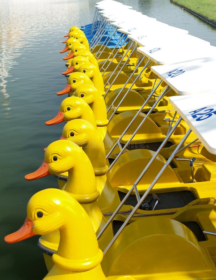 Duck boat 2 stock photo. Image of river, together, boat - 4396380