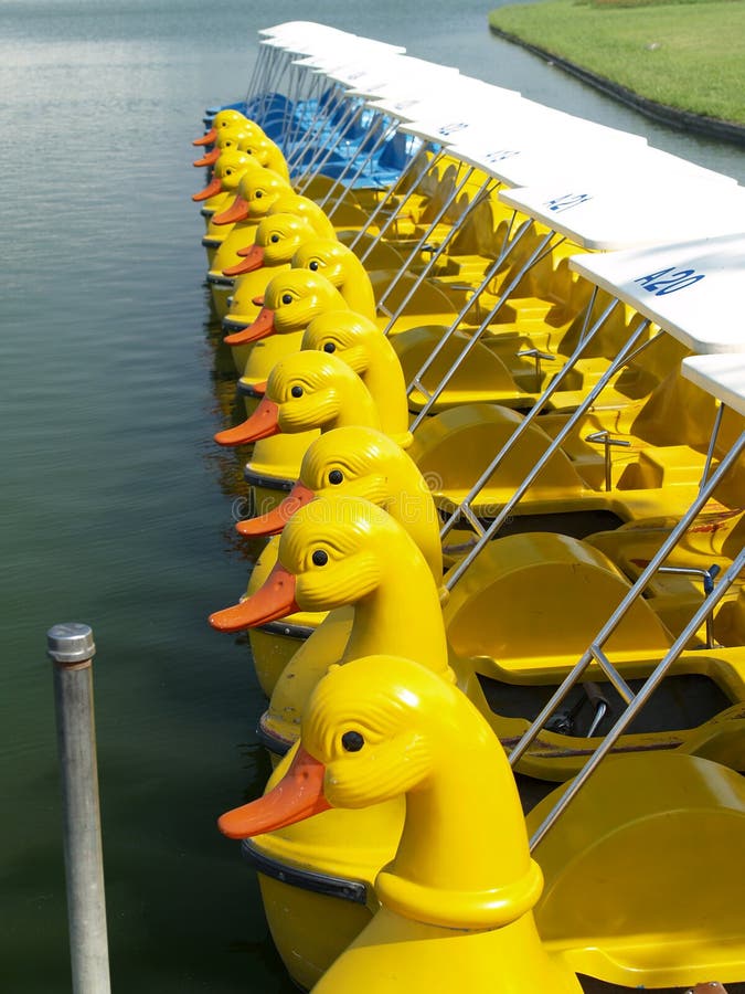 77+ Duck boat Free Stock Photos - StockFreeImages