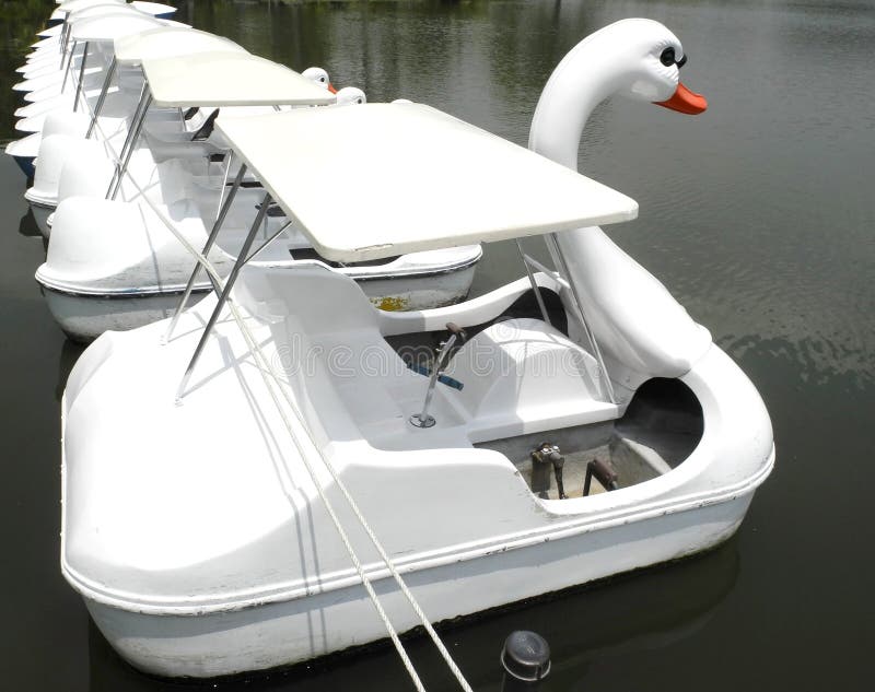 Duck boats stock image. Image of holiday, duck, boat - 38180129