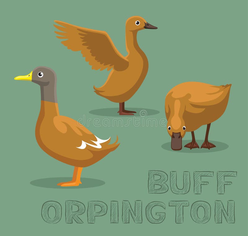 Cartoon Buff Animal Stock Illustrations – 112 Cartoon Buff Animal Stock ...