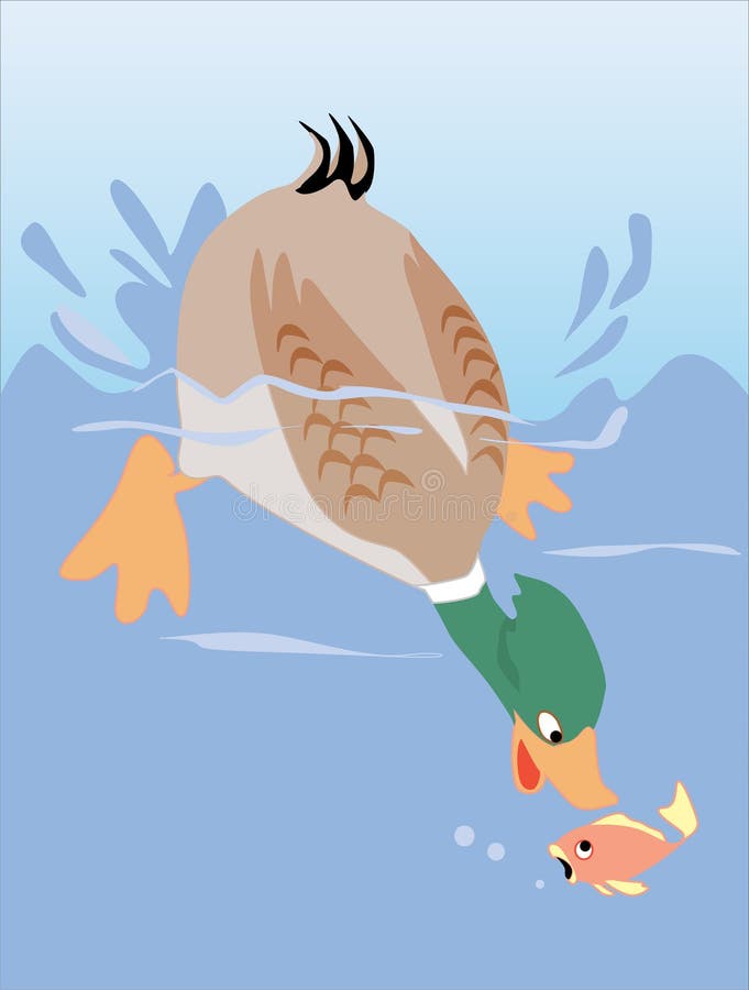 Duck catching fish stock vector. Illustration of bubbles - 20436995