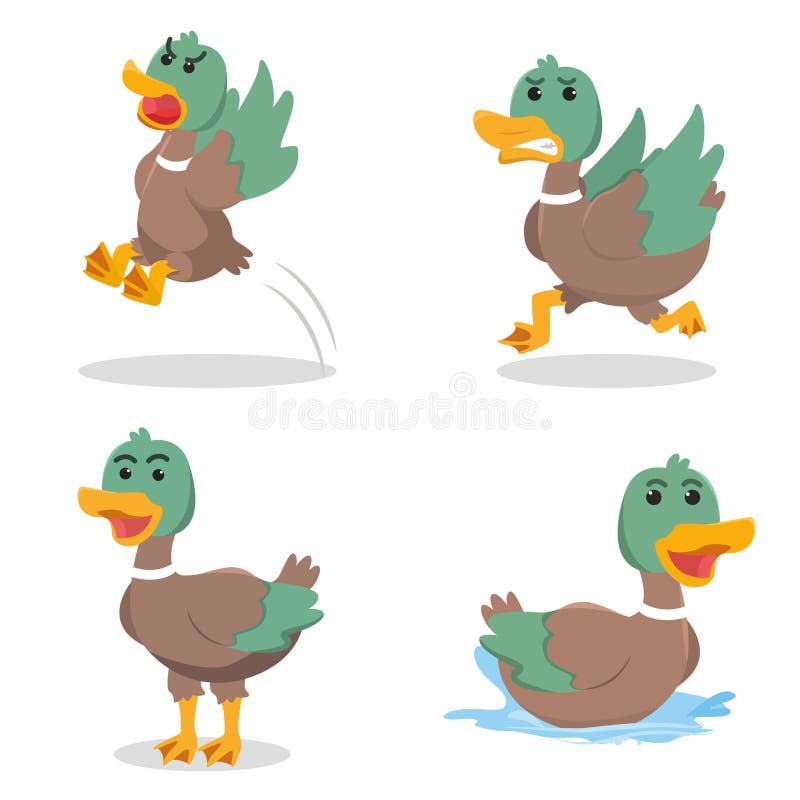 Funny Cute Raccoon stock vector. Illustration of drawing - 47880048