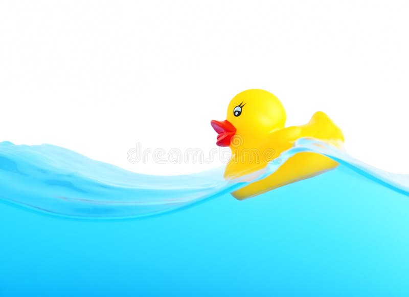 Drowning duck stock image. Image of life, afraid, drown - 27404185