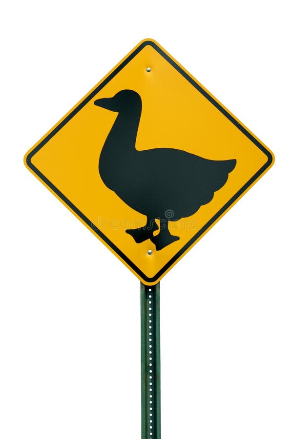 Duck Crossing Warning Road Sign Stock Photo - Image of rule, driving ...
