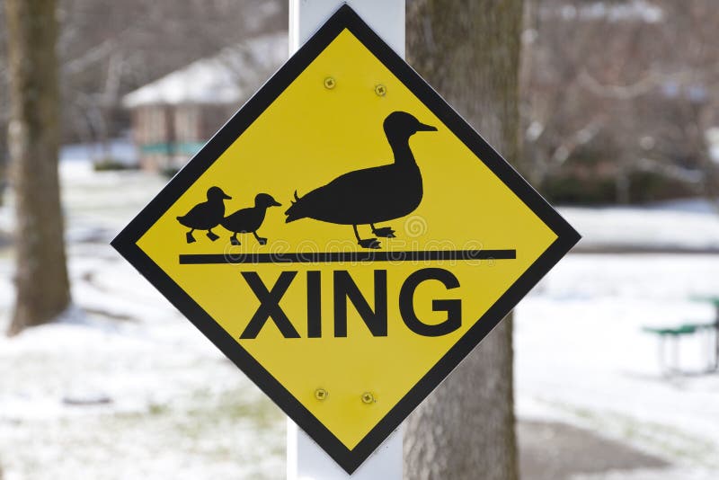 Duck Crossing Warning Sign. Stock Photo - Image of teamwork, wildlife ...