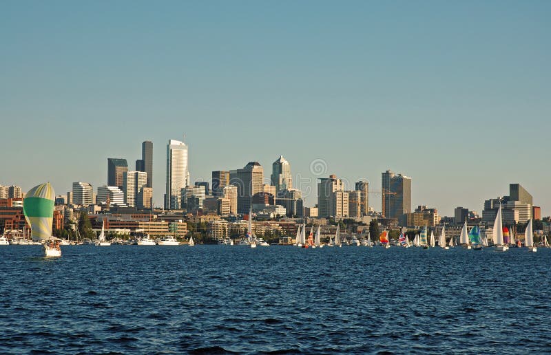 Duck Dodge Picture. Image: 1828496