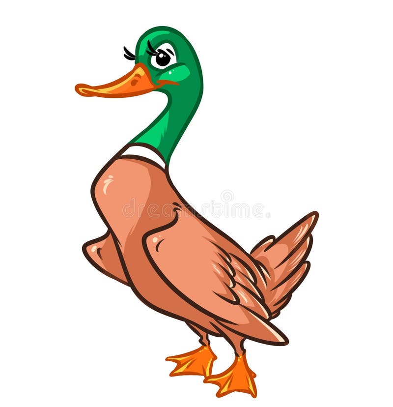 Duck Funny Animal Character Cartoon Illustration Coloring Page Stock ...