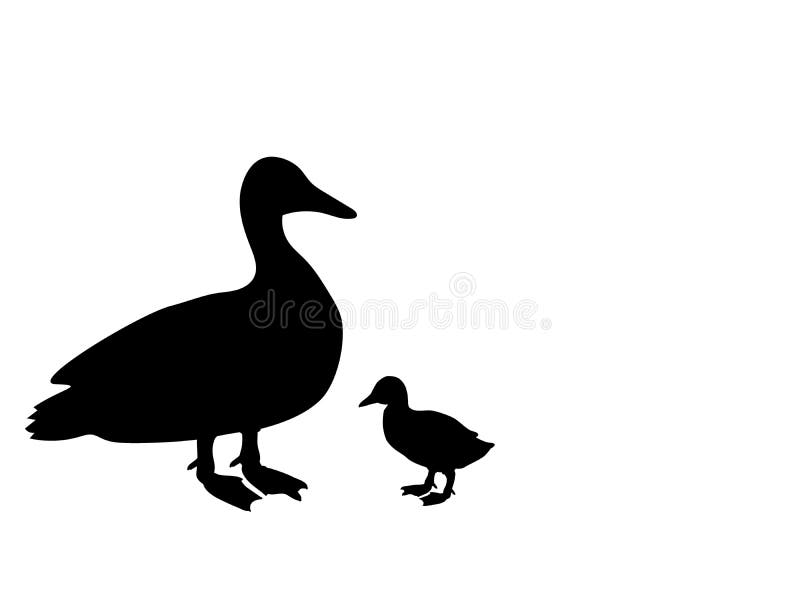 Duck Duckling Bird Black Silhouette Animal. Stock Vector - Illustration ...
