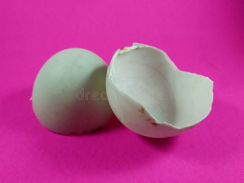 Duck Egg Broken into Two Parts after Hatching, Close Up. Stock Image ...