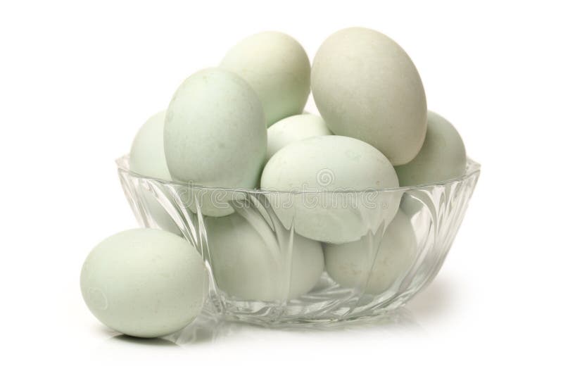 Duck egg stock photo. Image of isolated, food, ellipse - 33589026