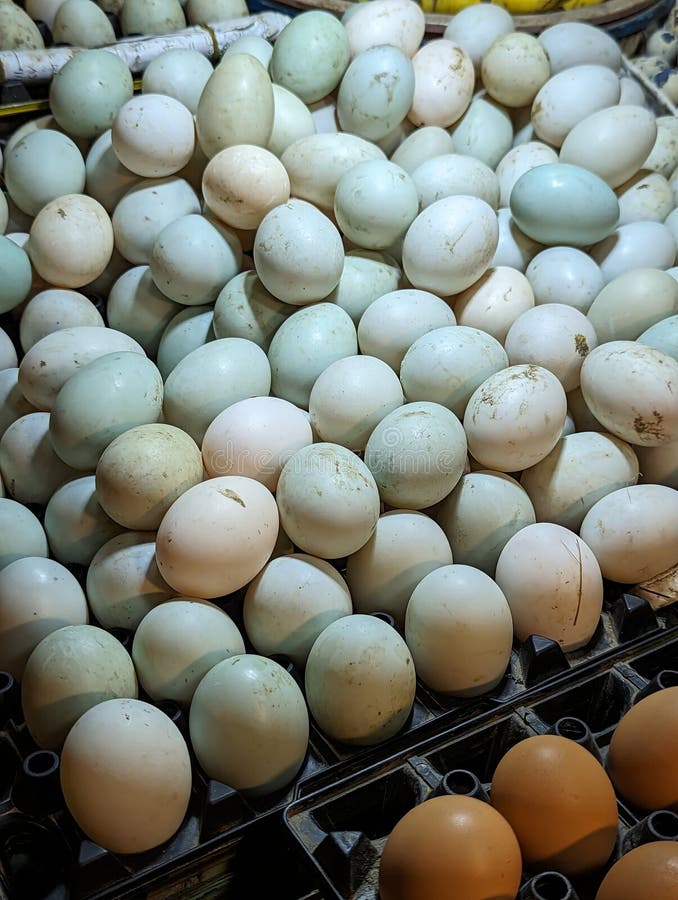 Duck Eggs in Bazar at Mymensingh, Bangladesh Stock Photo - Image of ...