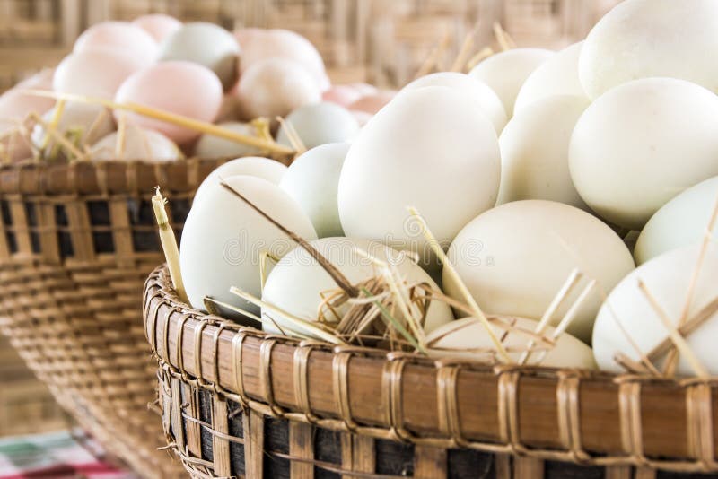 Duck eggs stock image. Image of eggshell, easter, space - 79974133