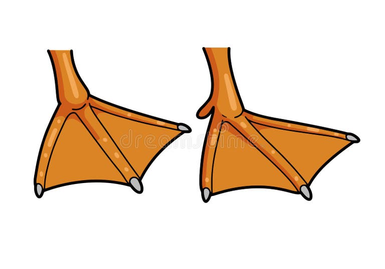 Duck Feet Stock Illustrations – 3,359 Duck Feet Stock Illustrations ...