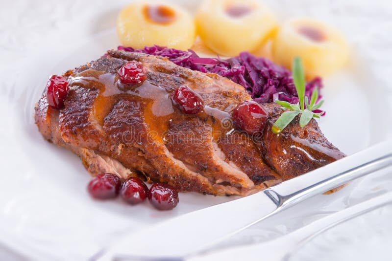 Duck fillet stock photo. Image of cranberry, gourmet - 30377238