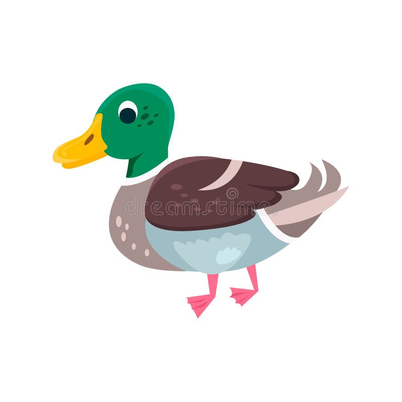 Duck Flat Icon. Colored Vector Element from Birds Collection. Creative ...