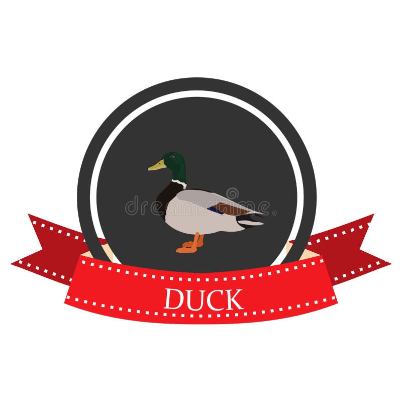 Duck flat icon with name stock vector. Illustration of mallard - 93103179