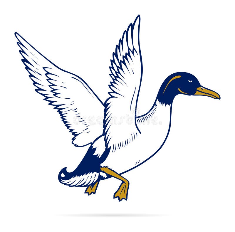 Duck flight stock vector. Illustration of hunting, fowl - 18937353