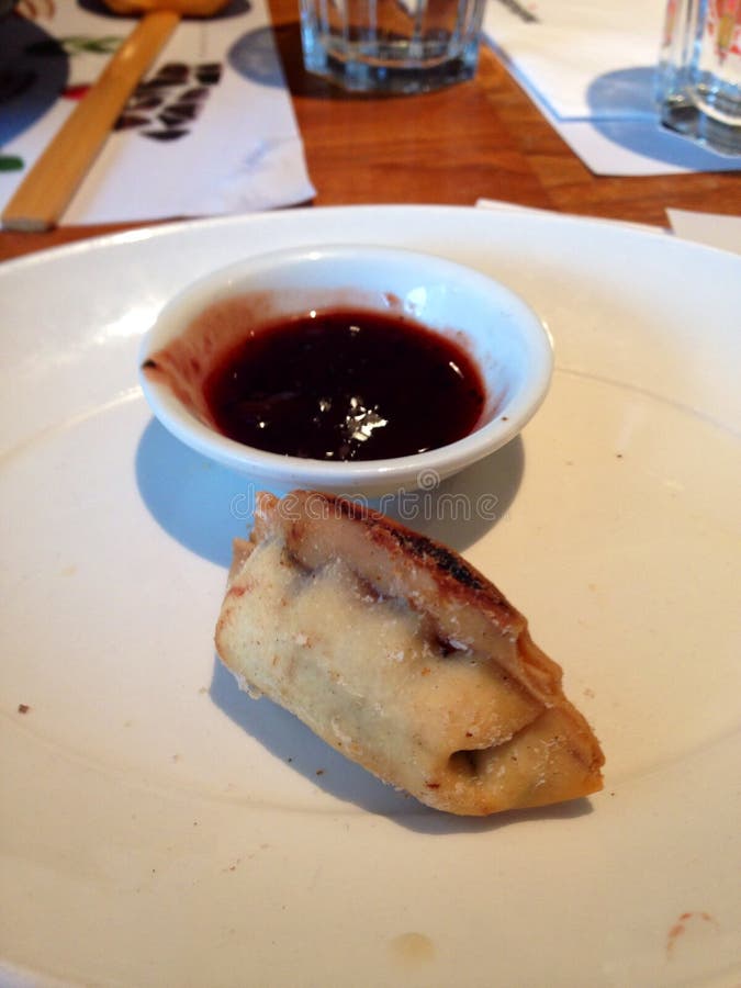 Duck gyoza stock image. Image of sauce, gyoza, spicy - 43755121