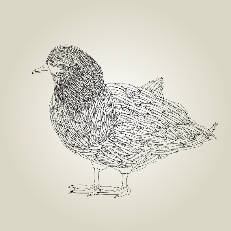 Hand Shadow Duck Stock Illustrations – 75 Hand Shadow Duck Stock ...