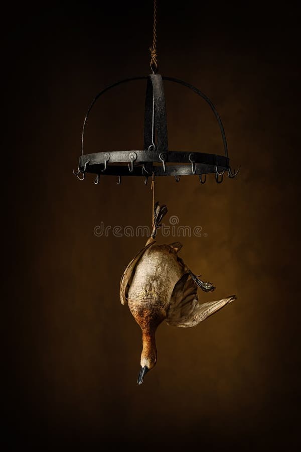 Duck Hanging in the Kitchen Stock Photo - Image of vertical, feather ...