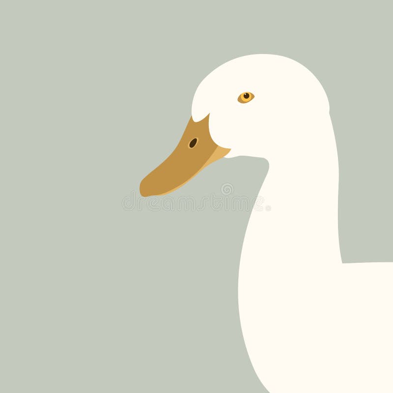 Duck Head Face Vector Illustration Flat Style Front Stock Vector ...