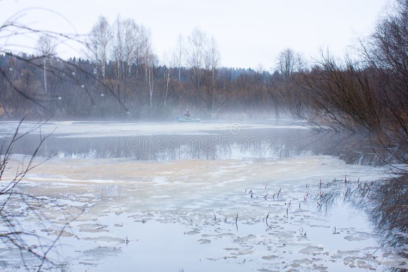 Mallard ducks stock photo. Image of stand, animal, animals - 2581660