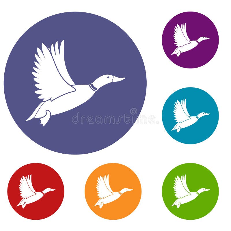 Duck icons set stock vector. Illustration of duck, green - 95791221