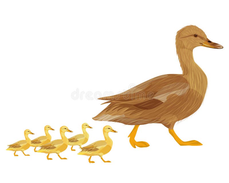The duck with little duck stock vector. Illustration of small - 140186563