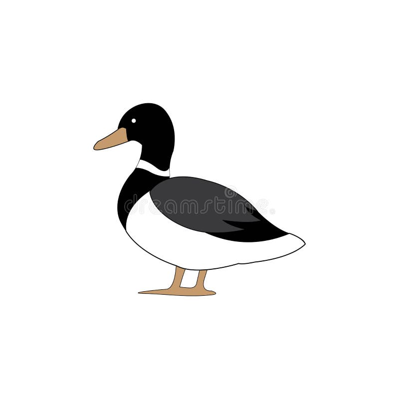 Duck logo icon vector stock illustration. Illustration of drawing ...