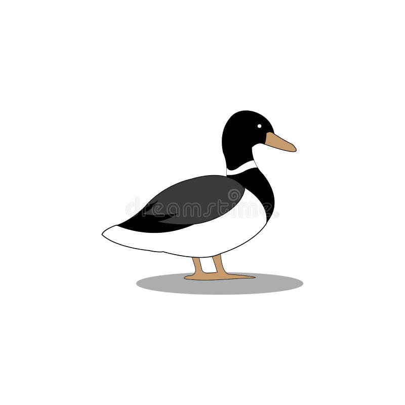 Duck logo icon vector stock illustration. Illustration of child - 260012147