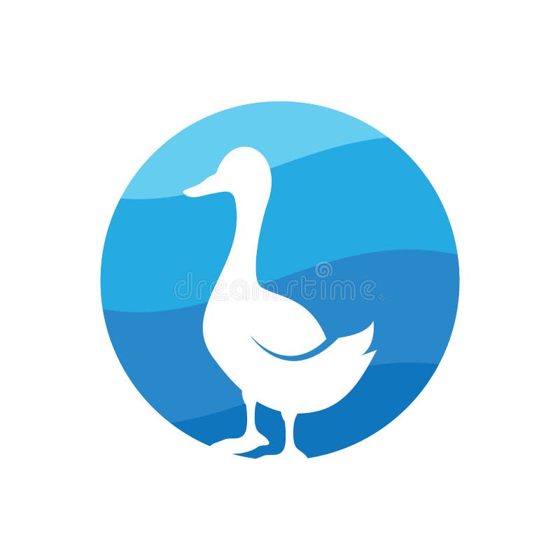 Duck logo vector stock vector. Illustration of mallard - 262981202