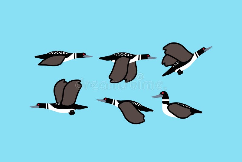 Duck Loon Bird Design Vector Flat Illustration Stock Vector ...