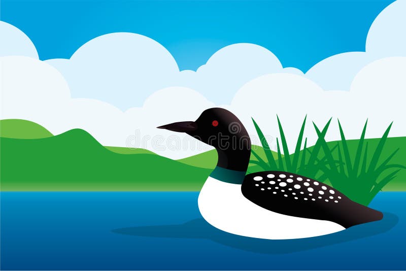 Duck Loon Bird Logo Design Vector Flat Illustration Stock Vector ...