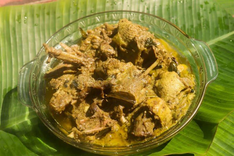 Duck Mappas Stock Photos - Free & Royalty-Free Stock Photos from Dreamstime