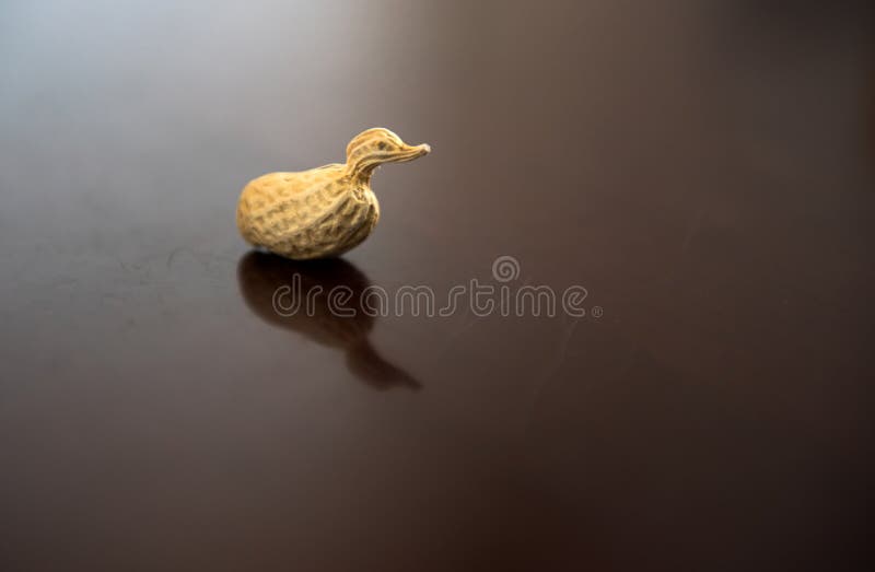 Bird on green tree stock photo. Image of autumnal, birdwatching - 42223810