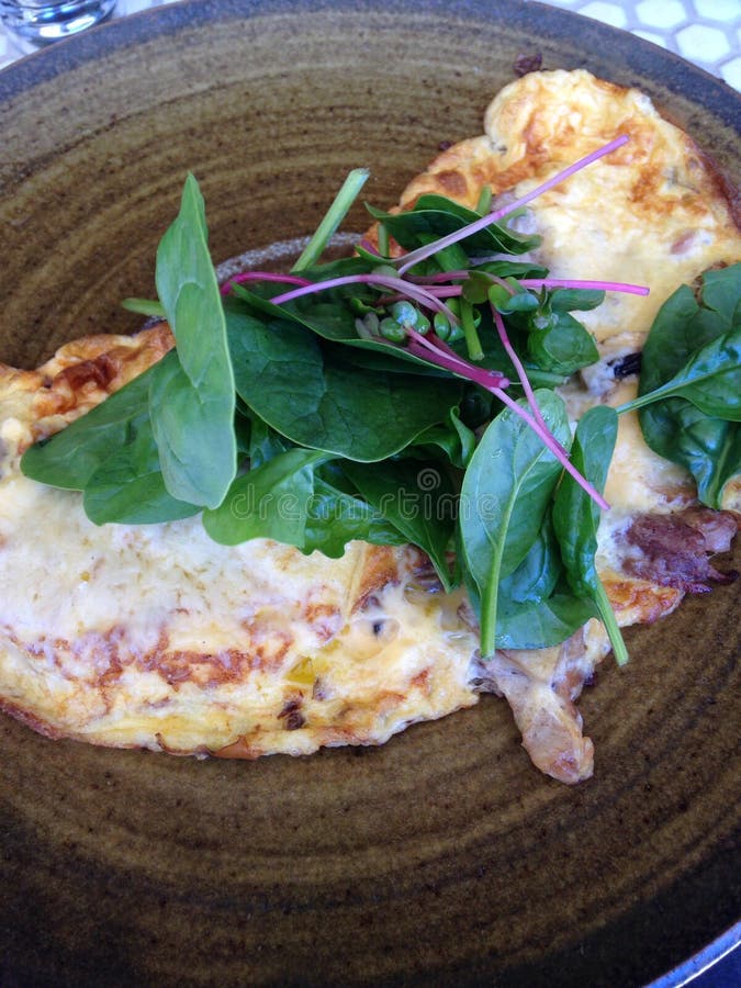 Duck Omelette with Spinach stock photo. Image of plate - 48679798