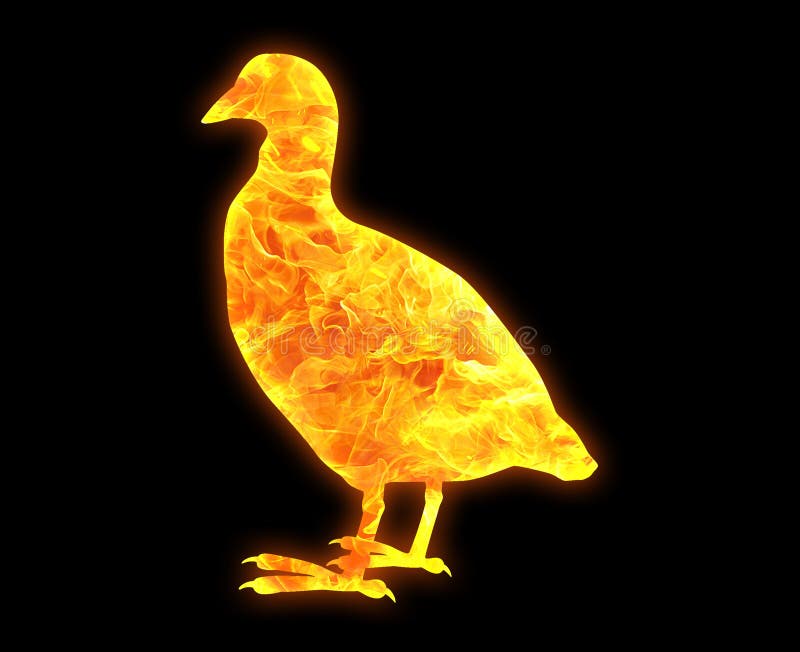 Duck fire vector stock vector. Illustration of sketch - 99477027