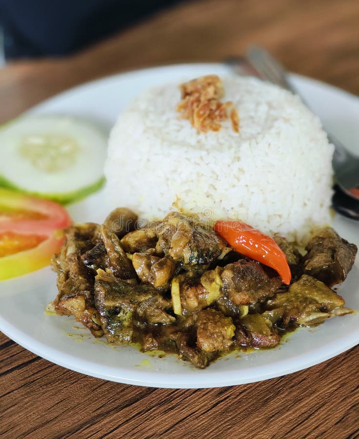 Duck Palekko stock photo. Image of indonesian, cuisine - 355334228