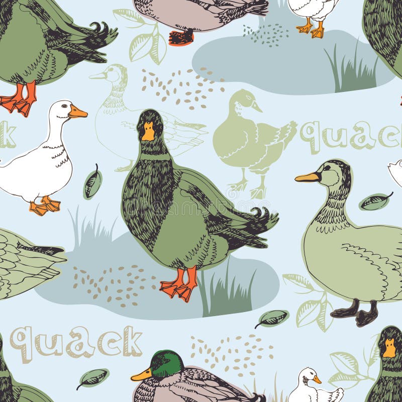 Duck pattern stock vector. Illustration of mammal, drawn - 37112049