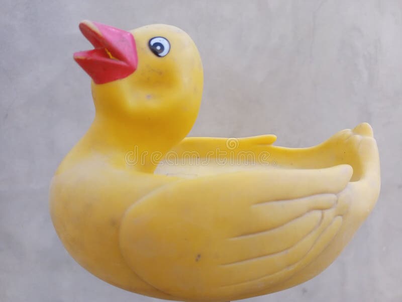 Duck Picture Yellow Awesome Stock Photo - Image of duck, awesome: 244539092