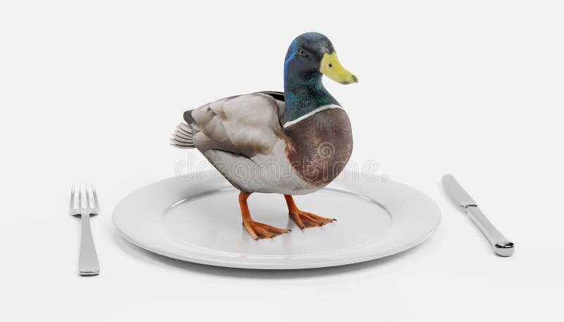 Duck on Plate stock photo. Image of serving, vegetarian - 115372236