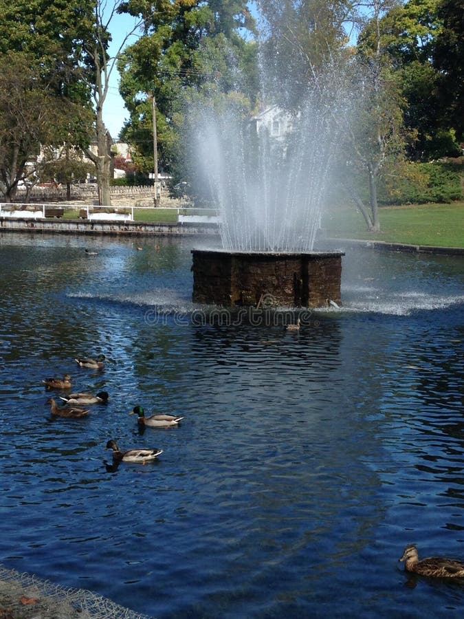 Duck pond stock image. Image of fountain, pond, ducks - 45561929